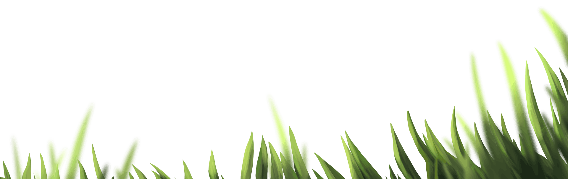 Fablecraft | Accounts